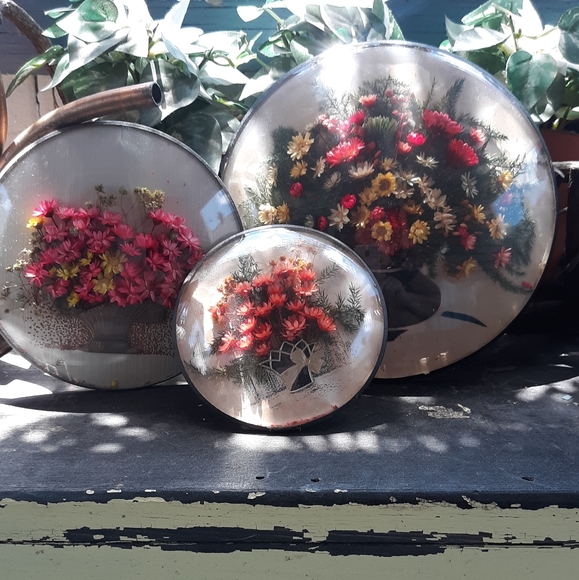 Vintage-Peter Watson's Studio | Accents | Peter Watsons Studio Dried ...